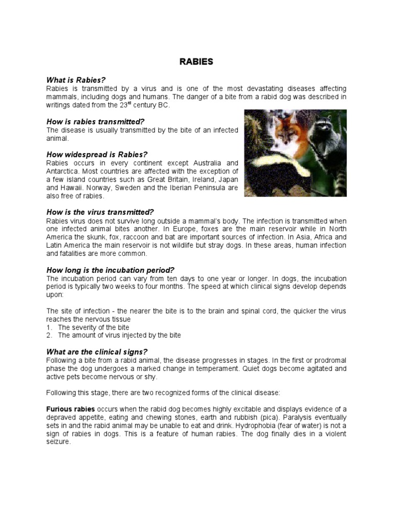 Rabies | PDF | Rabies | Medical Specialties