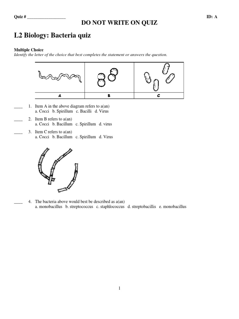 Bacteria Quiz | Download Free PDF | Archaea | Bacteria