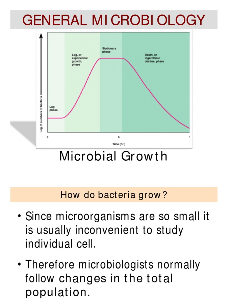 Microbial Growth and Metabolism: An In-Depth Look at the Growth Cycle ...