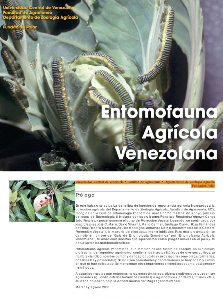 Entomo Fauna Venezolana | PDF | Insectos | Las bacterias