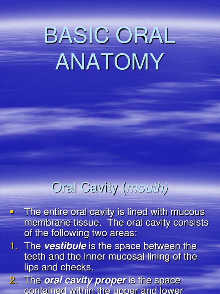 Basic Oral Anatomy | PDF | Tooth | Dentistry Branches