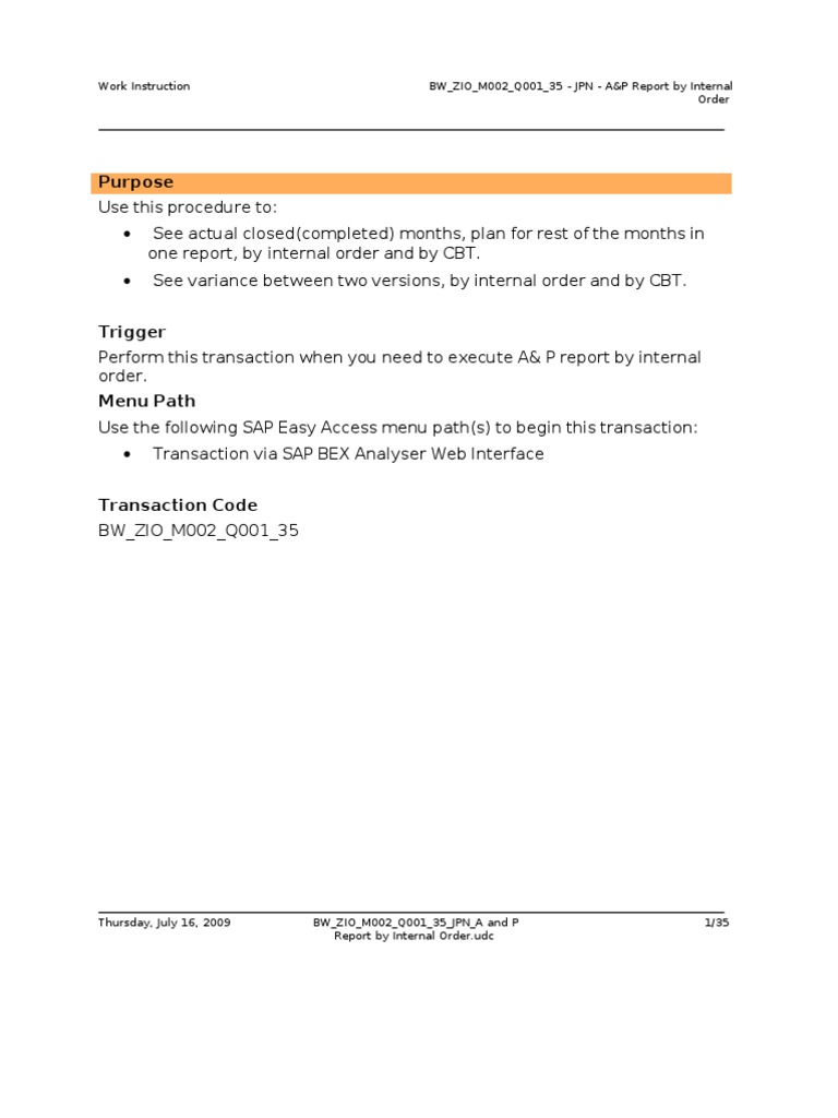 BW ZIO M002 Q001 35 JPN A and P Report by Internal Order | PDF | Double ...