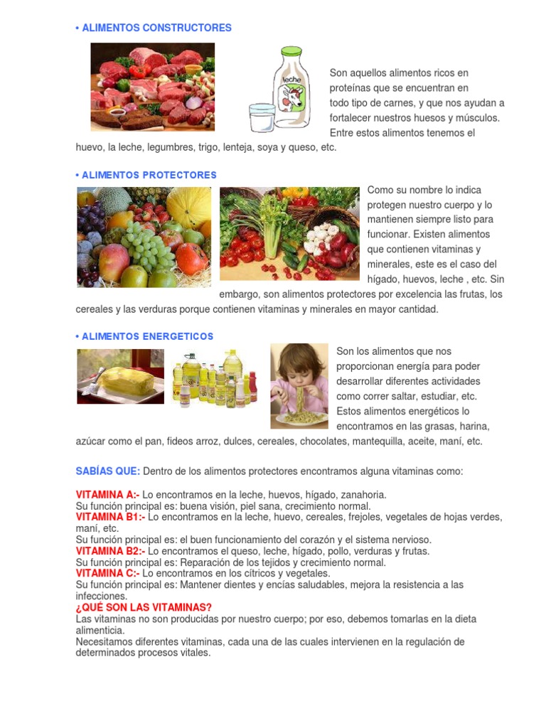 Alimentos Constructores | PDF | Vitamina | Alimentos