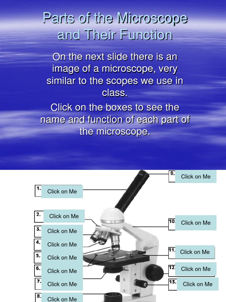 Parts of The Microscope and Their Function | PDF