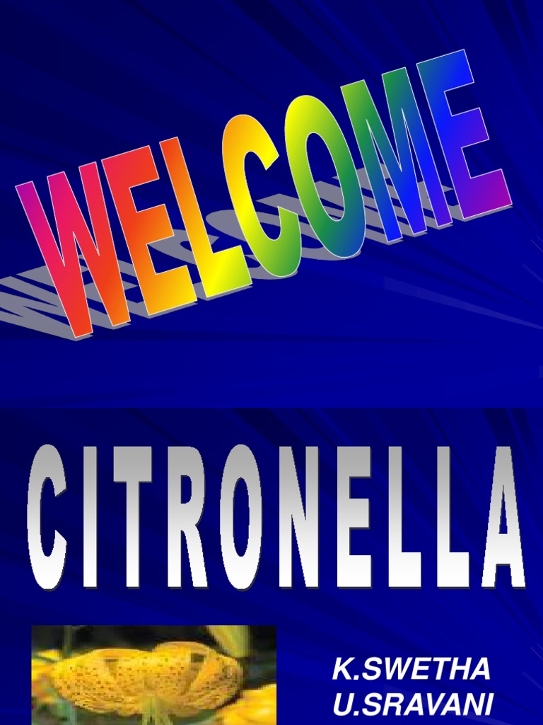 Citronella Production Eswar | PDF | Distillation | Weed