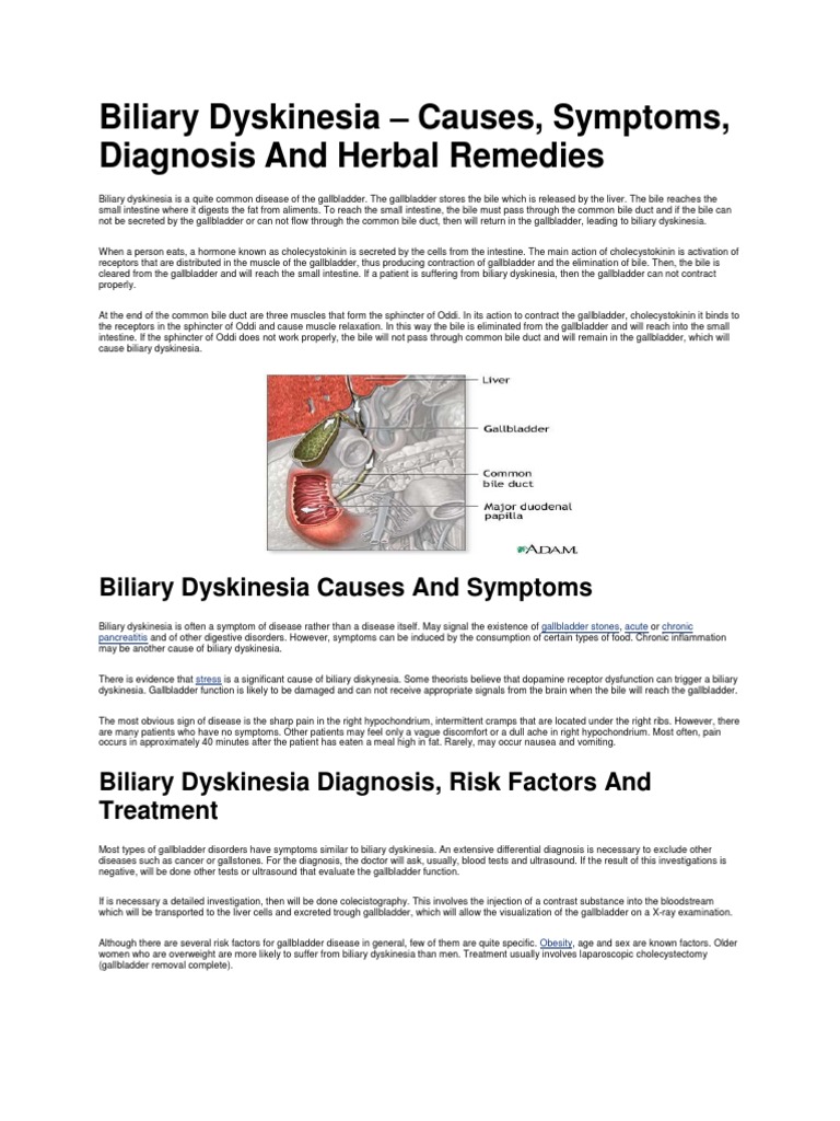 Biliary Dyskinesia Patho | Gallbladder | Bile