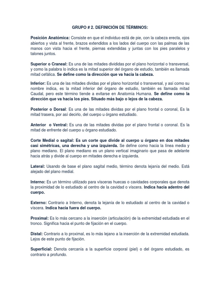 Definicion de Terminos Anatomia | PDF
