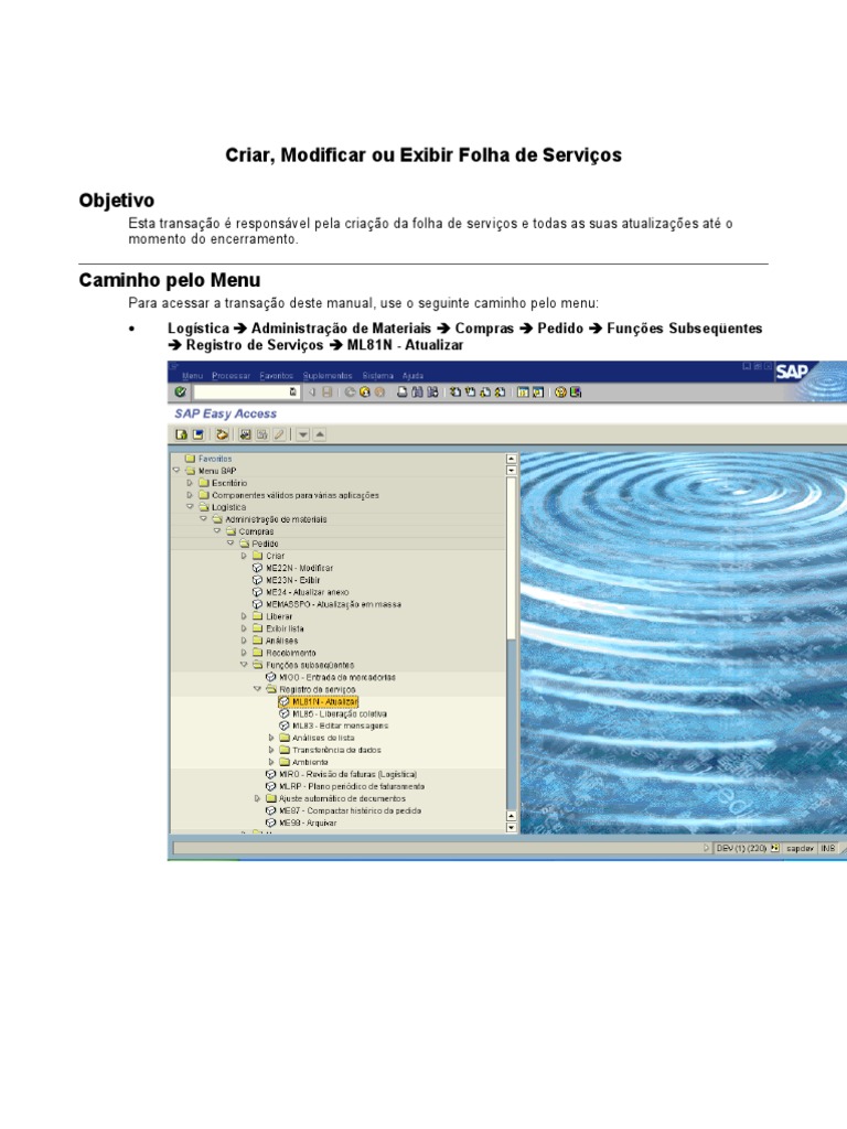 ML81N - Criar Folha de Serviços | PDF | Informática | Programas