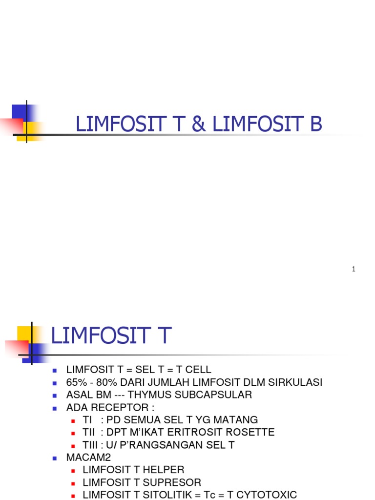Limfosit T & Limfosit B | PDF