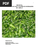 Proyecto de Locote | PDF | Pimiento | Economias