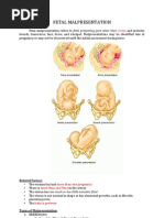 NEWTT2 | PDF | Infants | Childbirth