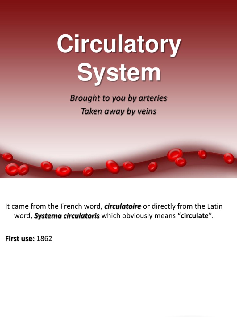 Comparative Anatomy - Circulatory System | PDF | Heart Valve | Heart