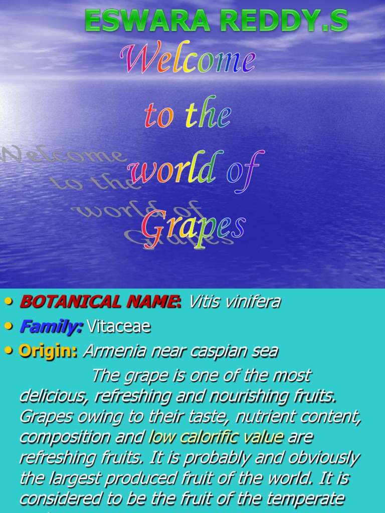 Grapes Production Eswar | PDF | Grape | Vitis