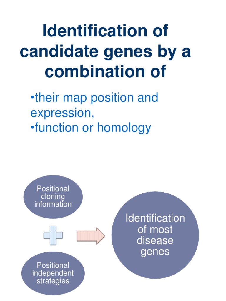 Presentatn (RDT) Pooja2 | PDF | Gene | Gene Expression