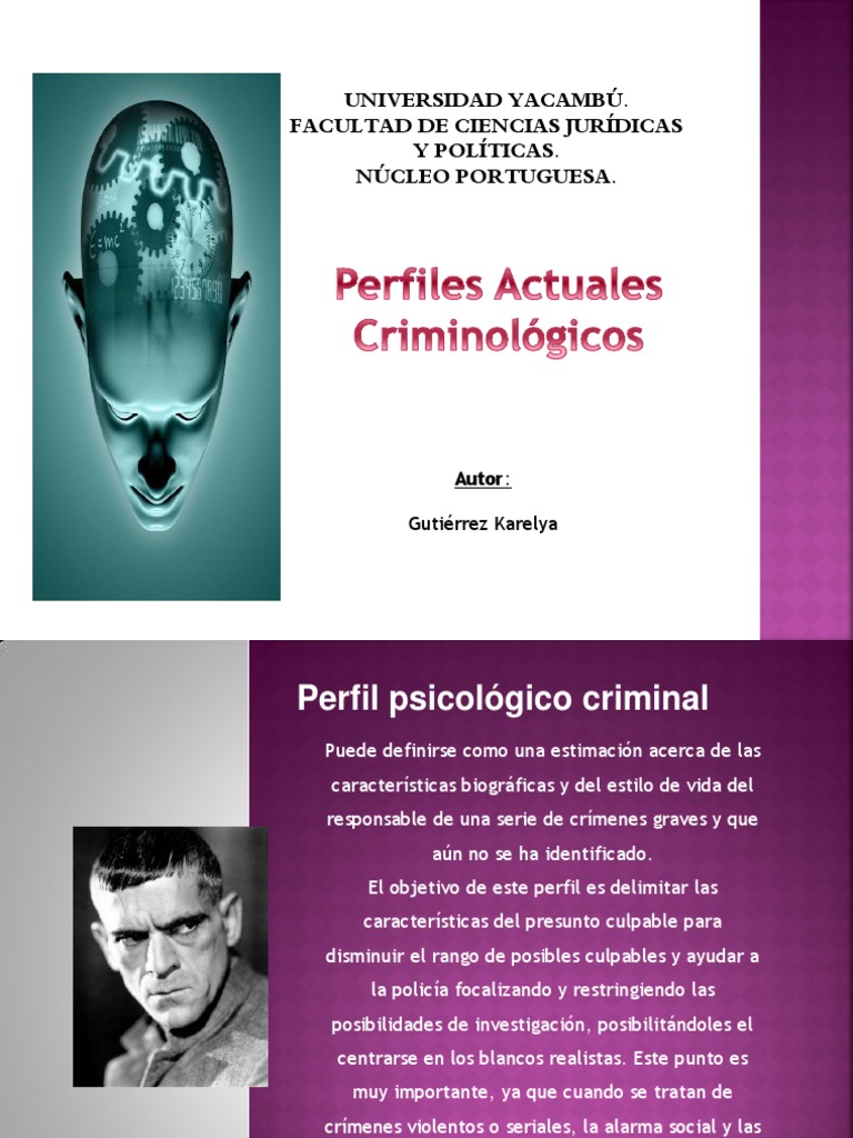 Laminas Del Perfil Del Delincuente | PDF | Asesino en serie | Delito