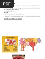 Partes de La Res | PDF | filete | Técnicas de cocina