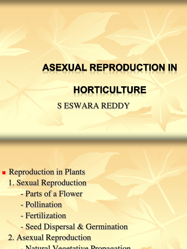 Asexual Reproduction in Plants SEREDDY | PDF | Plant Reproduction ...