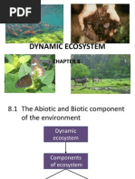 Biomanbio Succession Interactive | PDF | Flowers | Earth Sciences