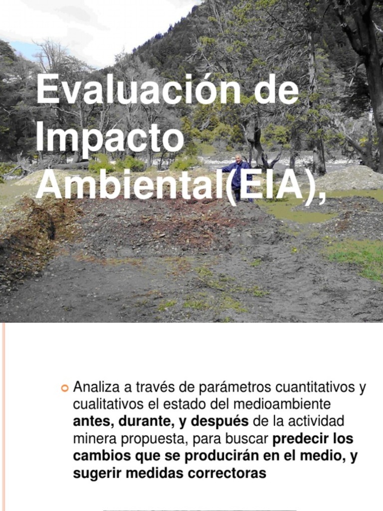 Impacto Ambiental de la Minería: EIA | PDF | Degradación ambiental ...