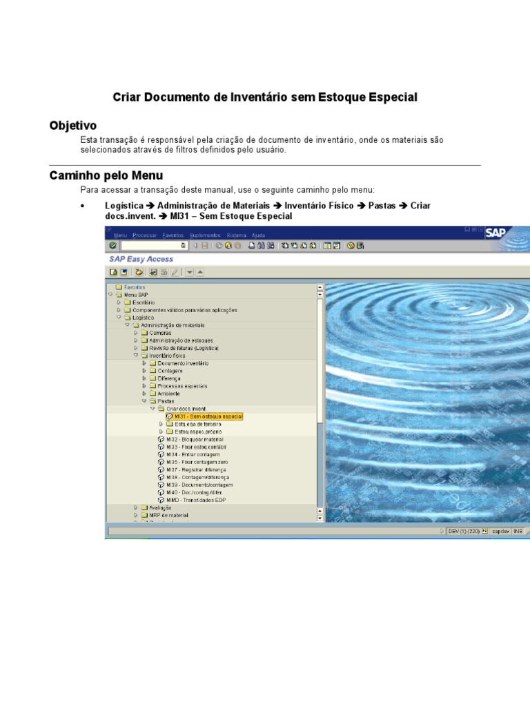 MI31 - Criar Documento de Inventário Sem Estoque Especial | PDF ...