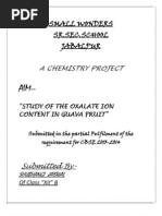 Class 12th Chemistry Project On Investigatory Test On Guava | PDF ...