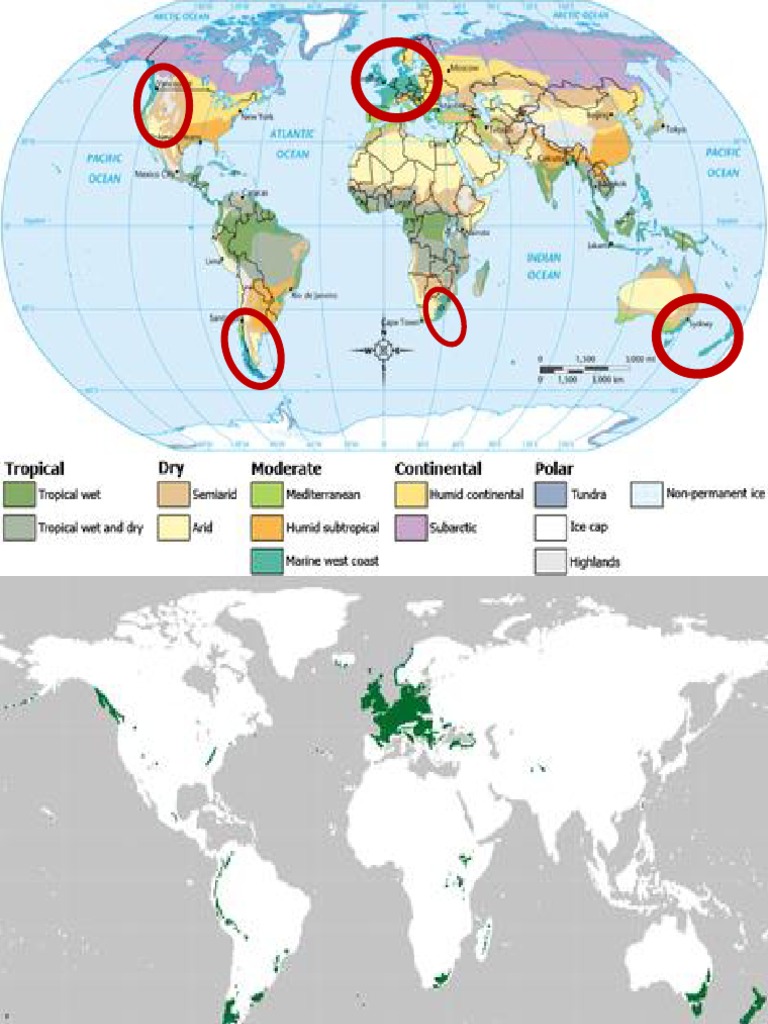 Marine West Coast Climate