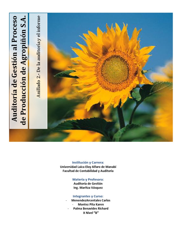 Anillado 2. - La Auditoria e Informe | PDF | Calidad (comercial) | Presupuesto