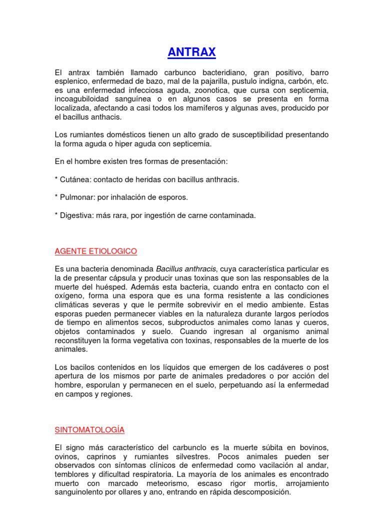 Antrax: Enfermedad Zoonótica y Prevención | PDF