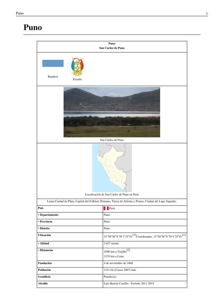 Historia y evolución de Puno | PDF