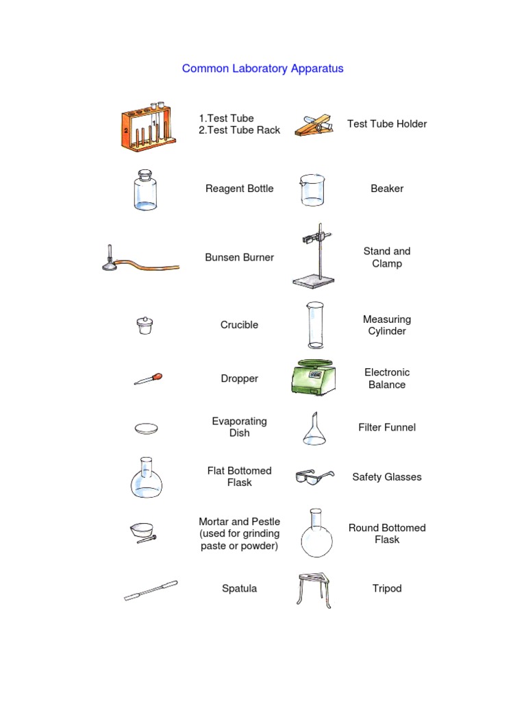 Common Laboratory Apparatus and Uses | PDF | Laboratories | Laboratory ...