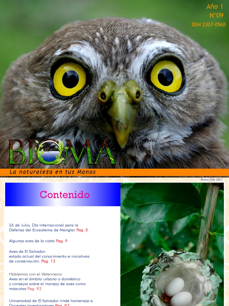 Bioma Julio 2013 | PDF | Mangle | Biodiversidad