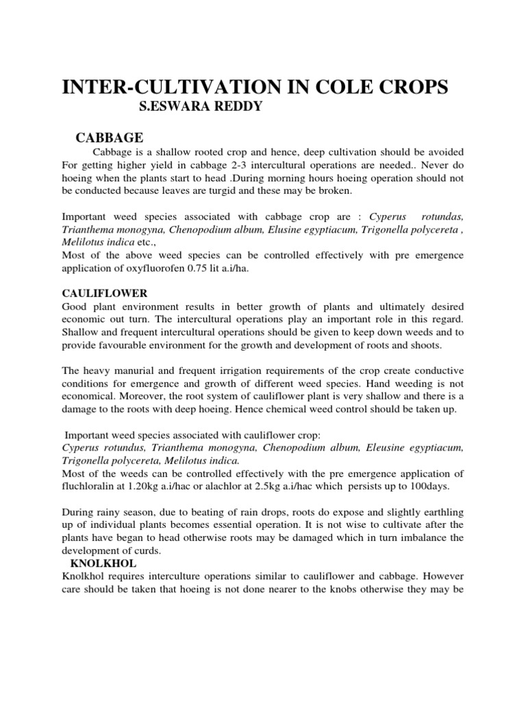 Intercultural Operations in Cole Crops | PDF | Weed | Cabbage