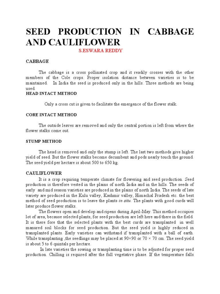 Seed Production in Cabbage and Cauliflower | PDF | Cauliflower | Seed