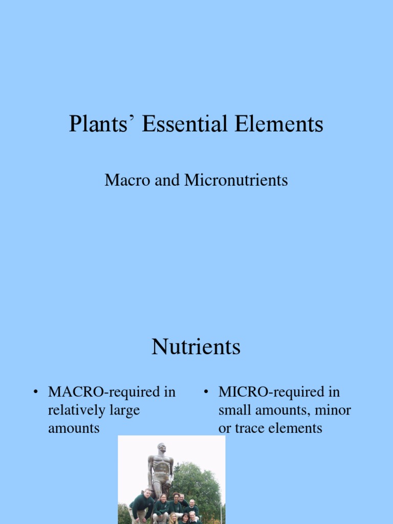 (24.01) Plant Essential Elements | PDF | Plant Nutrition | Atoms