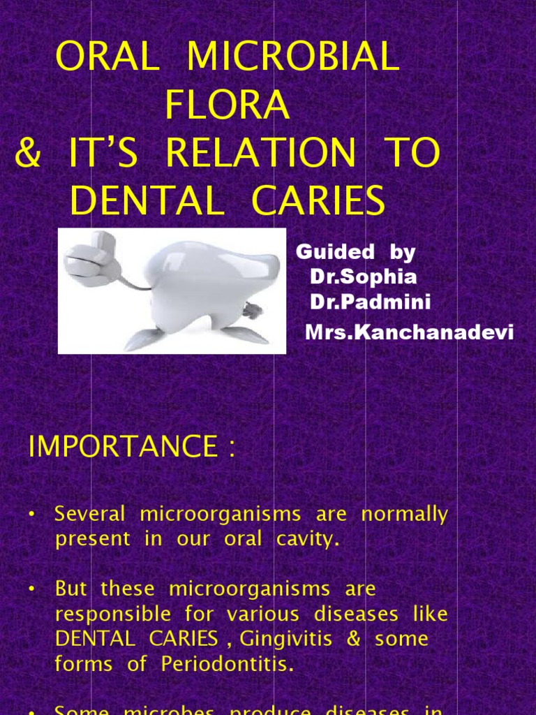 Oral Microbial Flora | Human Tooth | Dentistry