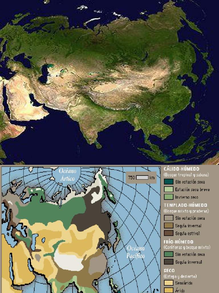 Climas y Biomas de Asia | PDF