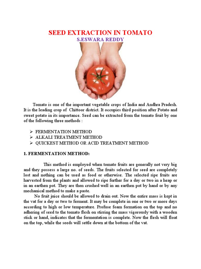 Seed Extraction in Tomato | PDF | Tomato | Seed