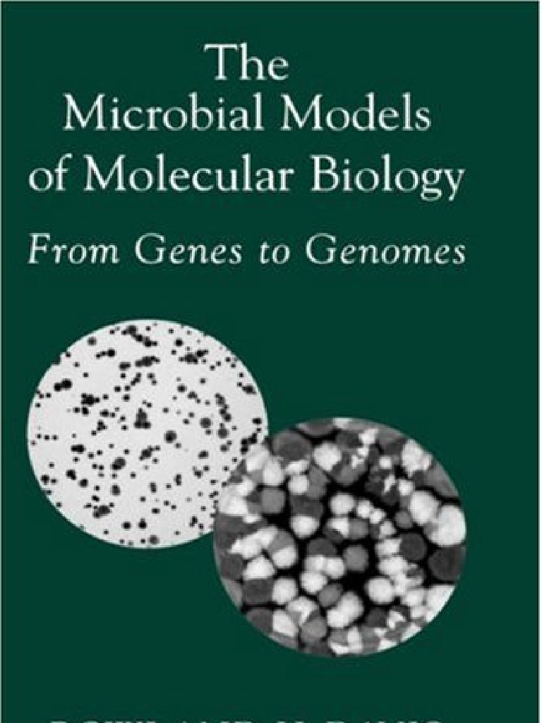 The Microbial Models of Molecular Biology | PDF | Heredity | Biology