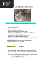 Basic Stag Conditioning: Conditioning Guide and Basic Tips During ...