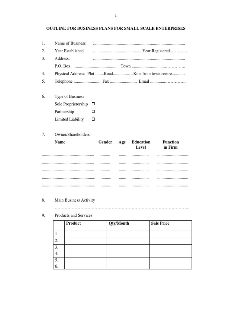Outline For Business Plans For Small Scale Enterprises | PDF | Loans ...