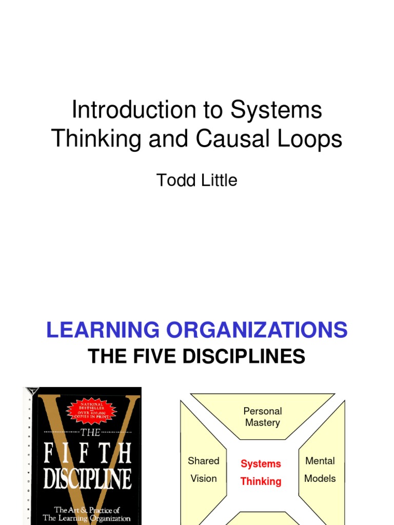 Systems Causal Loops | PDF | Systems Thinking | Causality