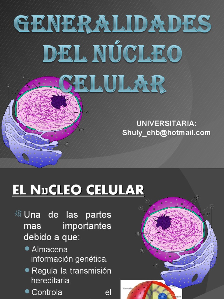 Estructura y Funciones del Núcleo Celular | PDF