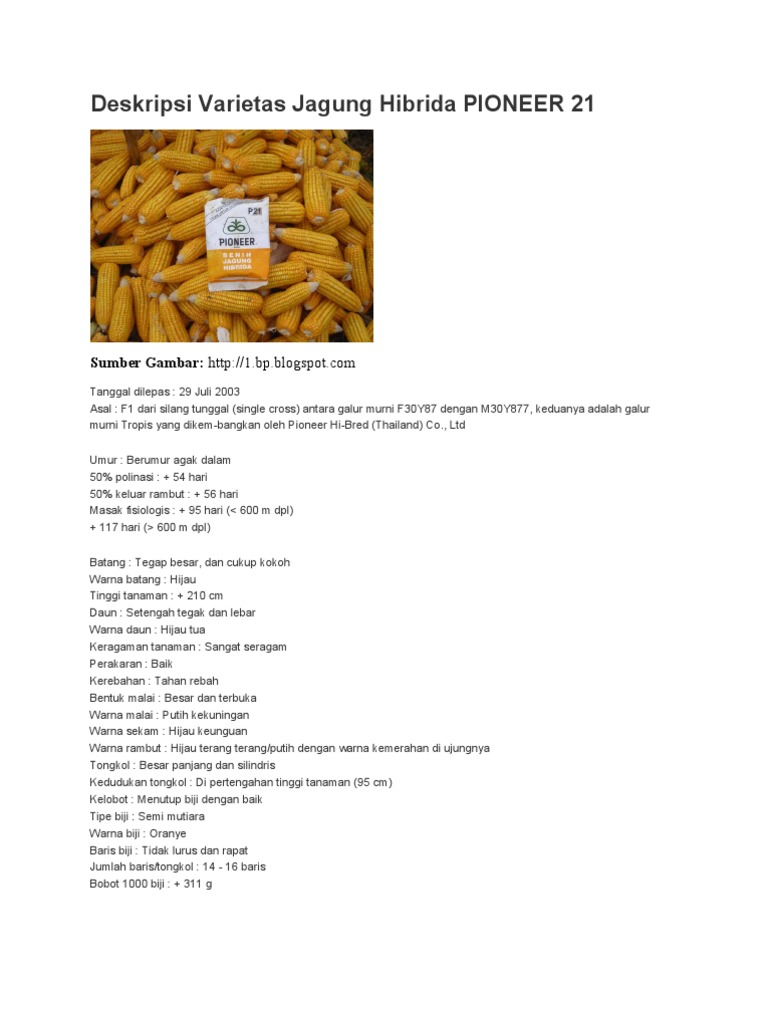 Deskripsi Varietas Jagung Hibrida PIONEER 21 | PDF