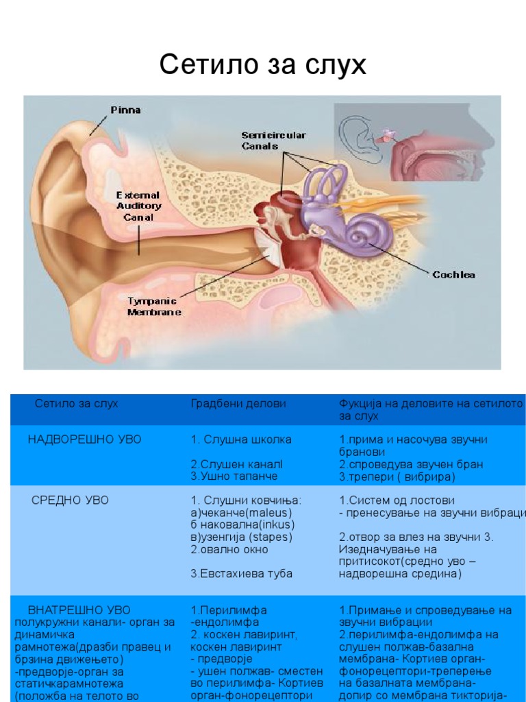 Сетилен систем | PDF