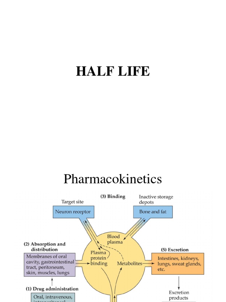 Half Life | PDF | Pharmacokinetics | Drugs