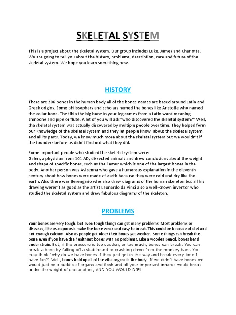Skeletal System Word Document | PDF | Skeleton | Bone