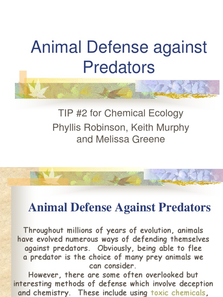 Animal Defense Vs Predators | PDF | Mimicry | Predation