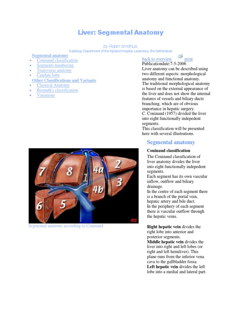 Liver Anatomy | PDF | Liver | Animal Anatomy