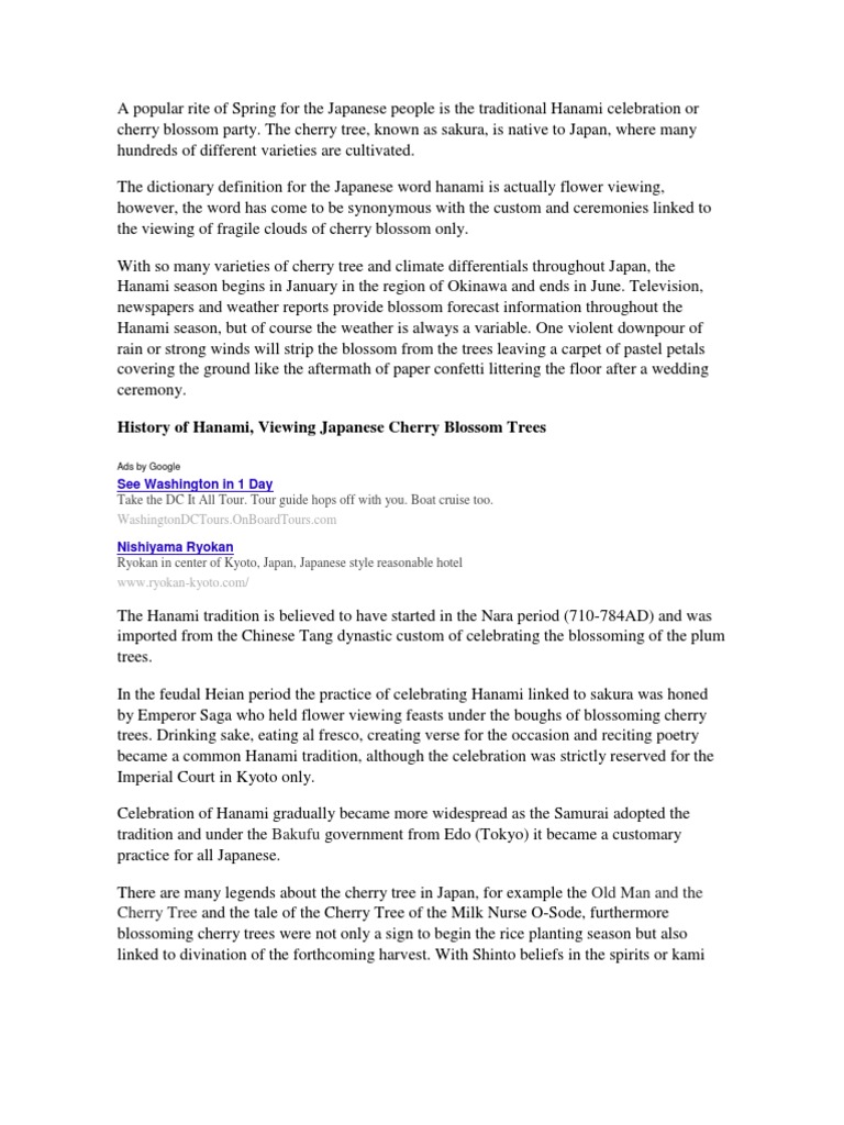 A Popular Rite of Spring For The Japanese People Is The Traditional Hanami Celebration or Cherry ...