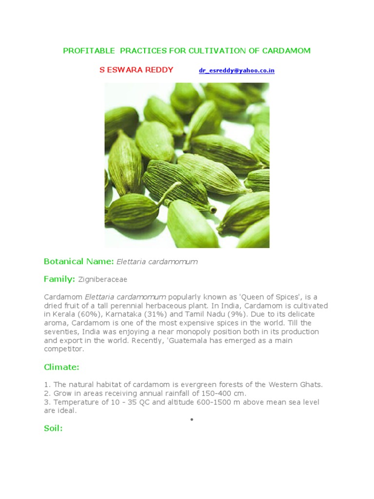 Profitable Practices For Cultivation of Cardamom | PDF | Tillage | Soil